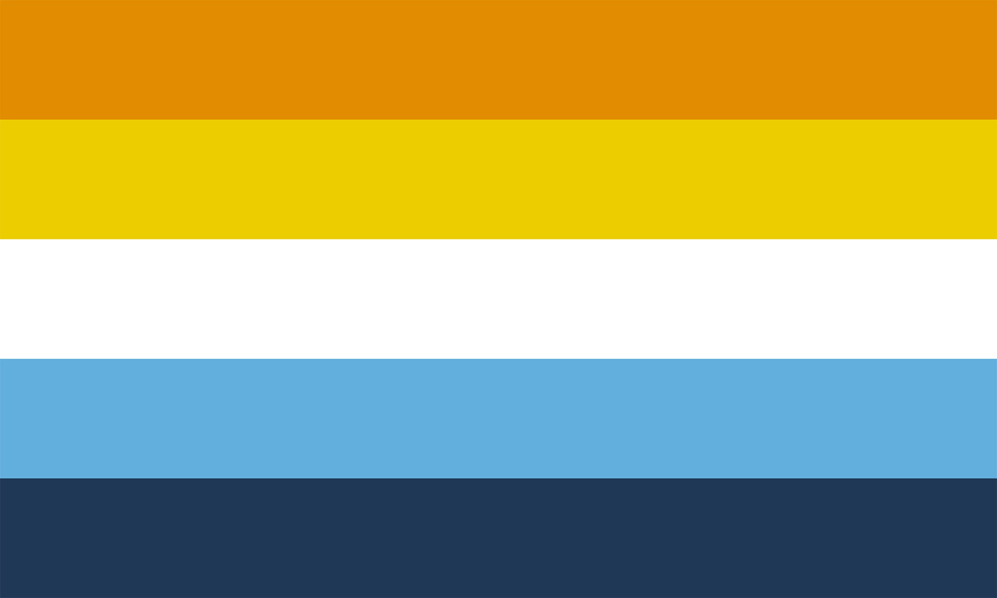 All Flag Options And Identities – License To Gay